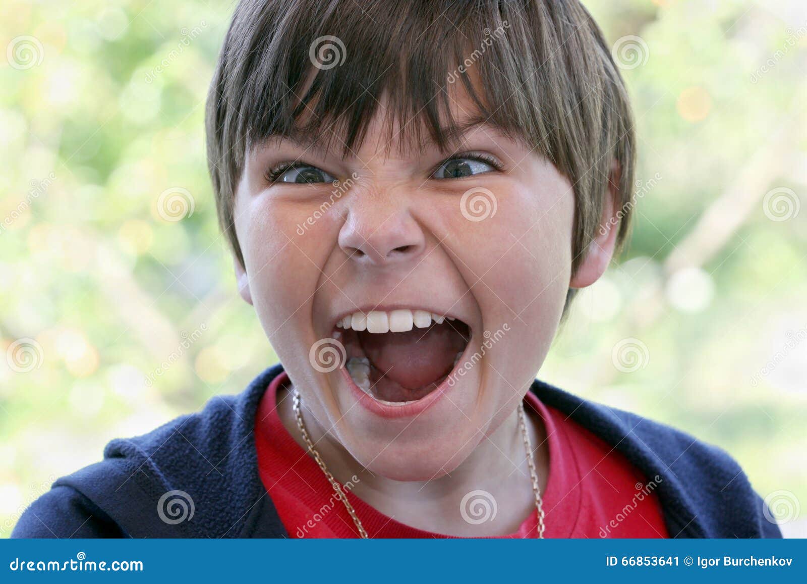 Shouting boy stock image. Image of happiness, male, beauty - 66853641