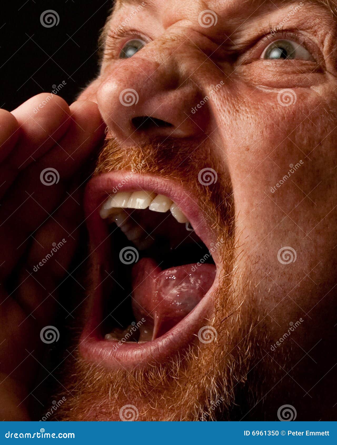 Shouting Loudly stock photo. Image of angry, goatee, male - 6961350