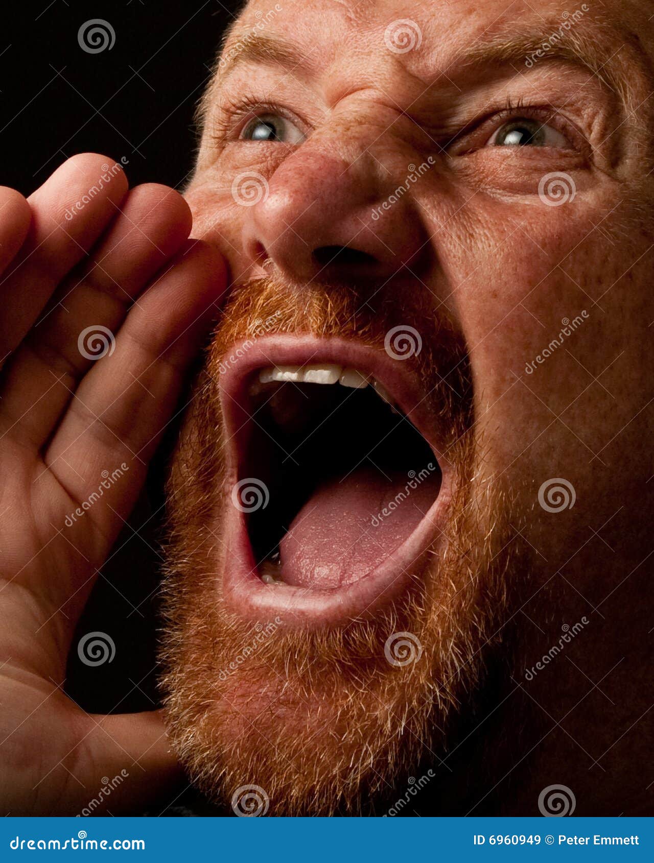 Shouting Out Loud stock image. Image of anger, male, wrinkle - 6960949