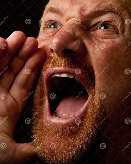 Shouting Out Loud stock image. Image of anger, male, wrinkle - 6960949