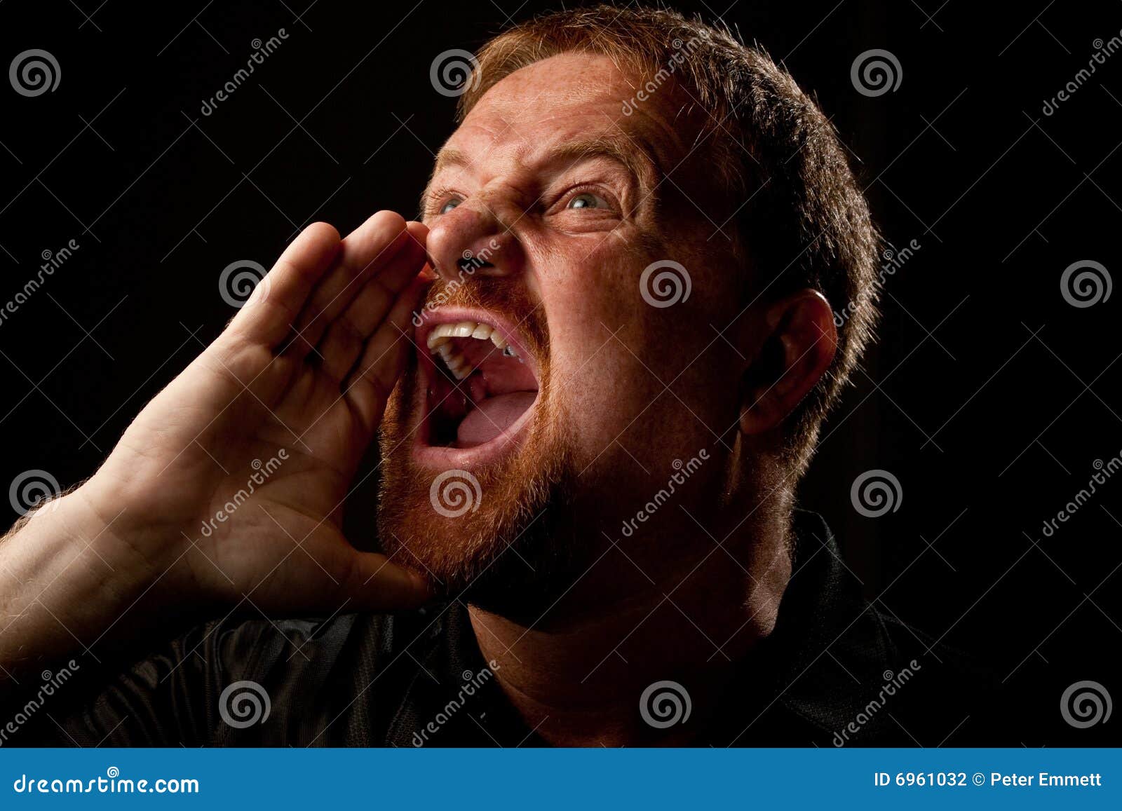 Shouting Out Loud stock photo. Image of head, wide, shout - 6961032