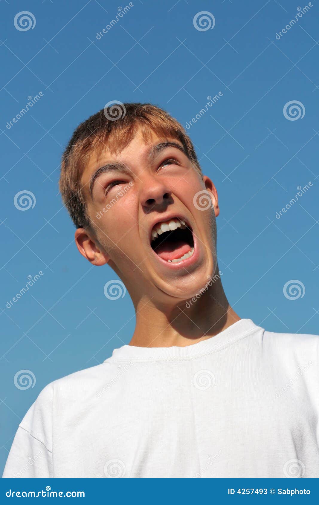 Shouting teenager stock image. Image of adolescence, scream - 4257493