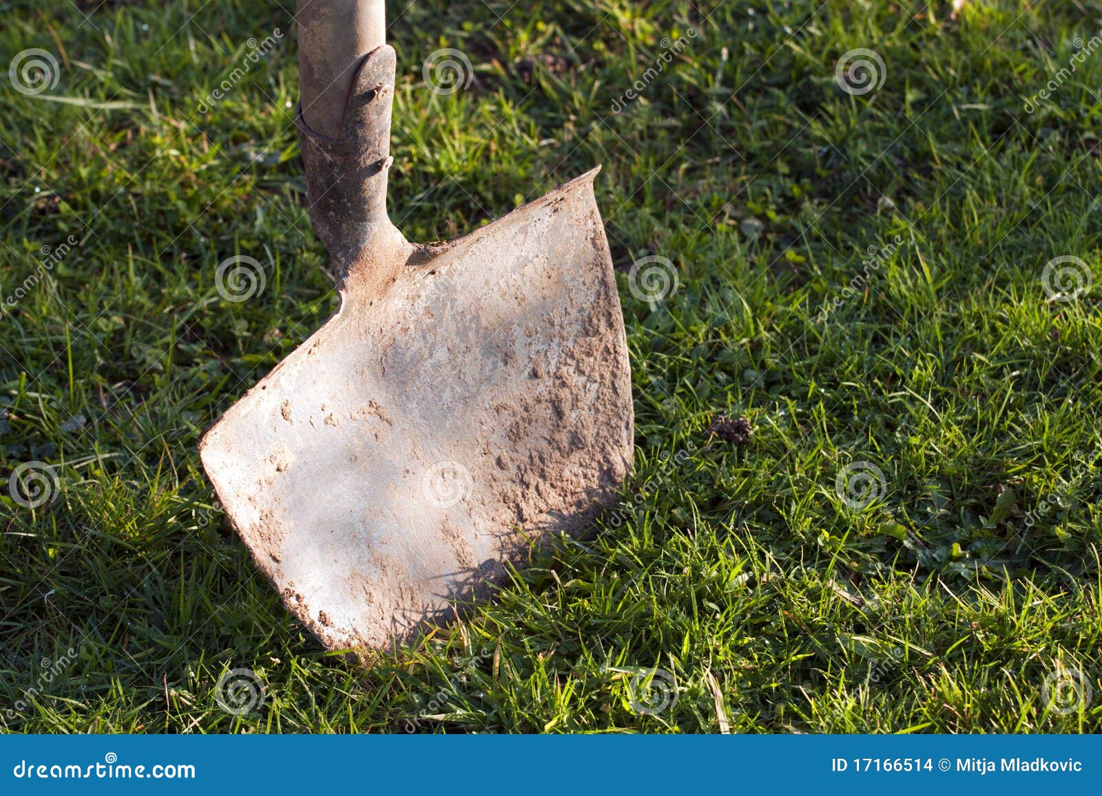 Shovel stock photo. Image of grass, agriculture, tool - 17166514