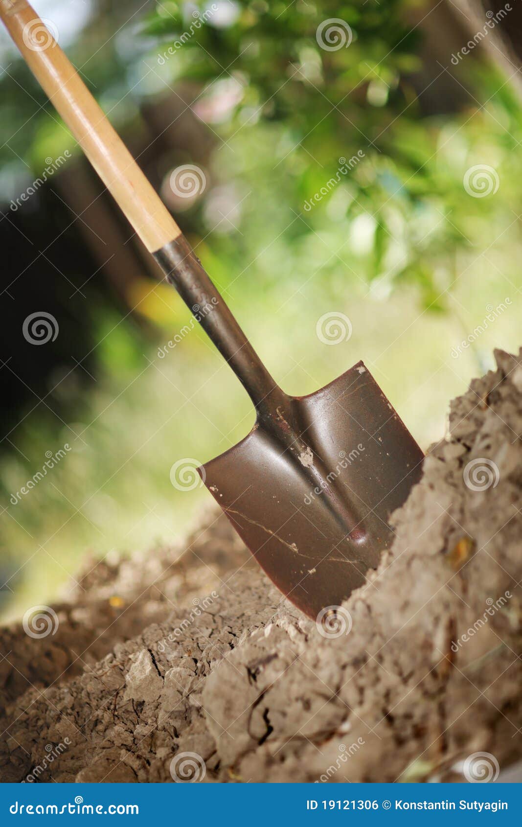 Shovel stock photo. Image of garden, cultivate, organic - 19121306
