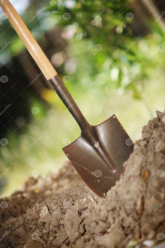 Shovel stock photo. Image of garden, cultivate, organic - 19121306