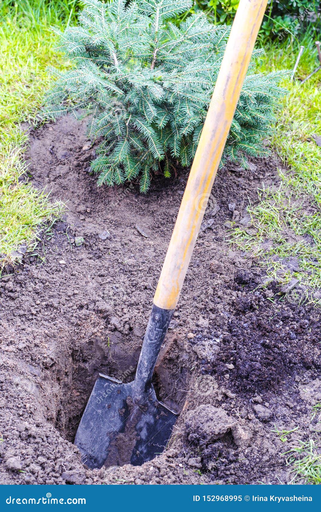 Shovel, Digging Holes in Ground, Working in Garden Stock Image - Image ...