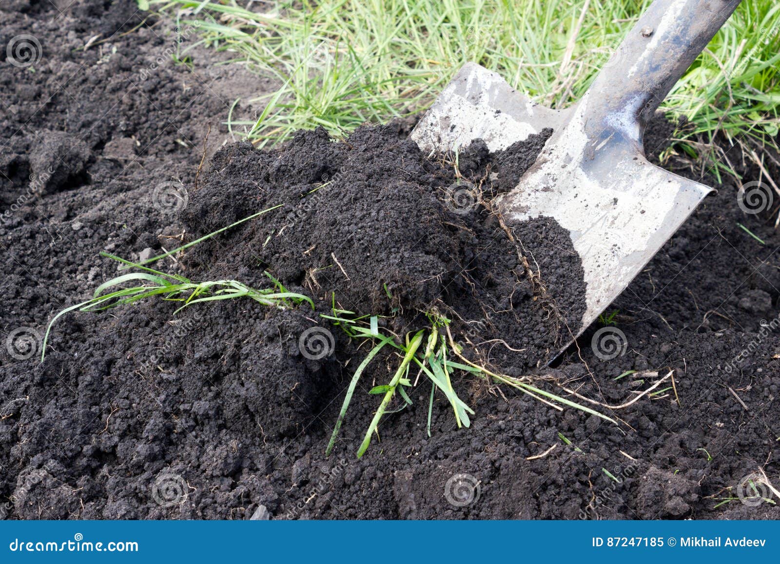Shovel digging stock image. Image of farming, rural, summer - 87247185