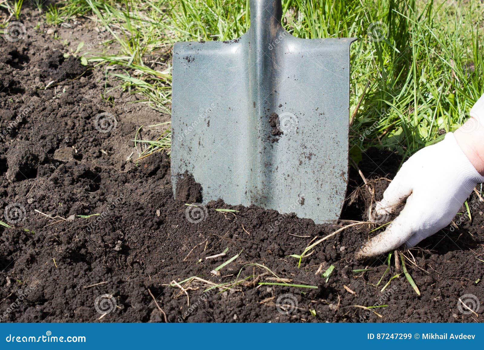 Shovel digging stock image. Image of dirt, soil, farm - 87247299