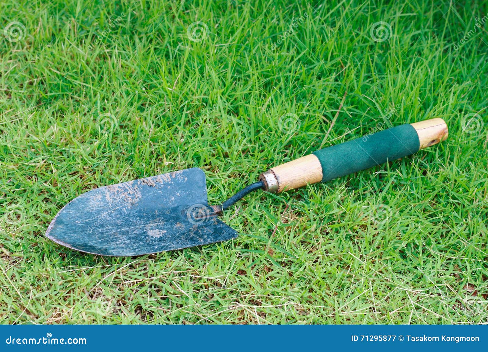 Shovel on Green Grass Field Stock Image - Image of equipment, backyard ...