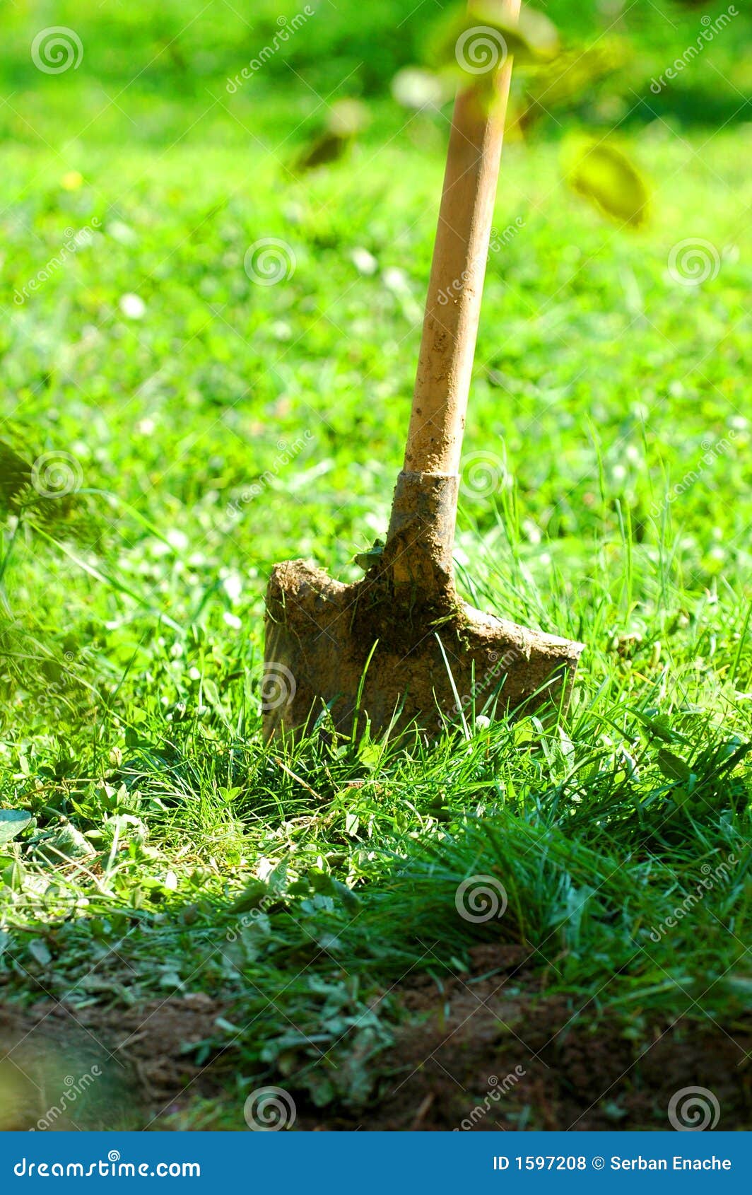 Shovel in Ground stock photo. Image of unearth, shovel - 1597208