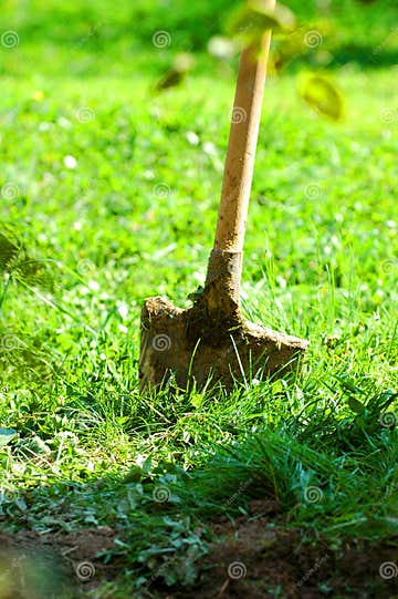 Shovel in Ground stock photo. Image of unearth, shovel - 1597208