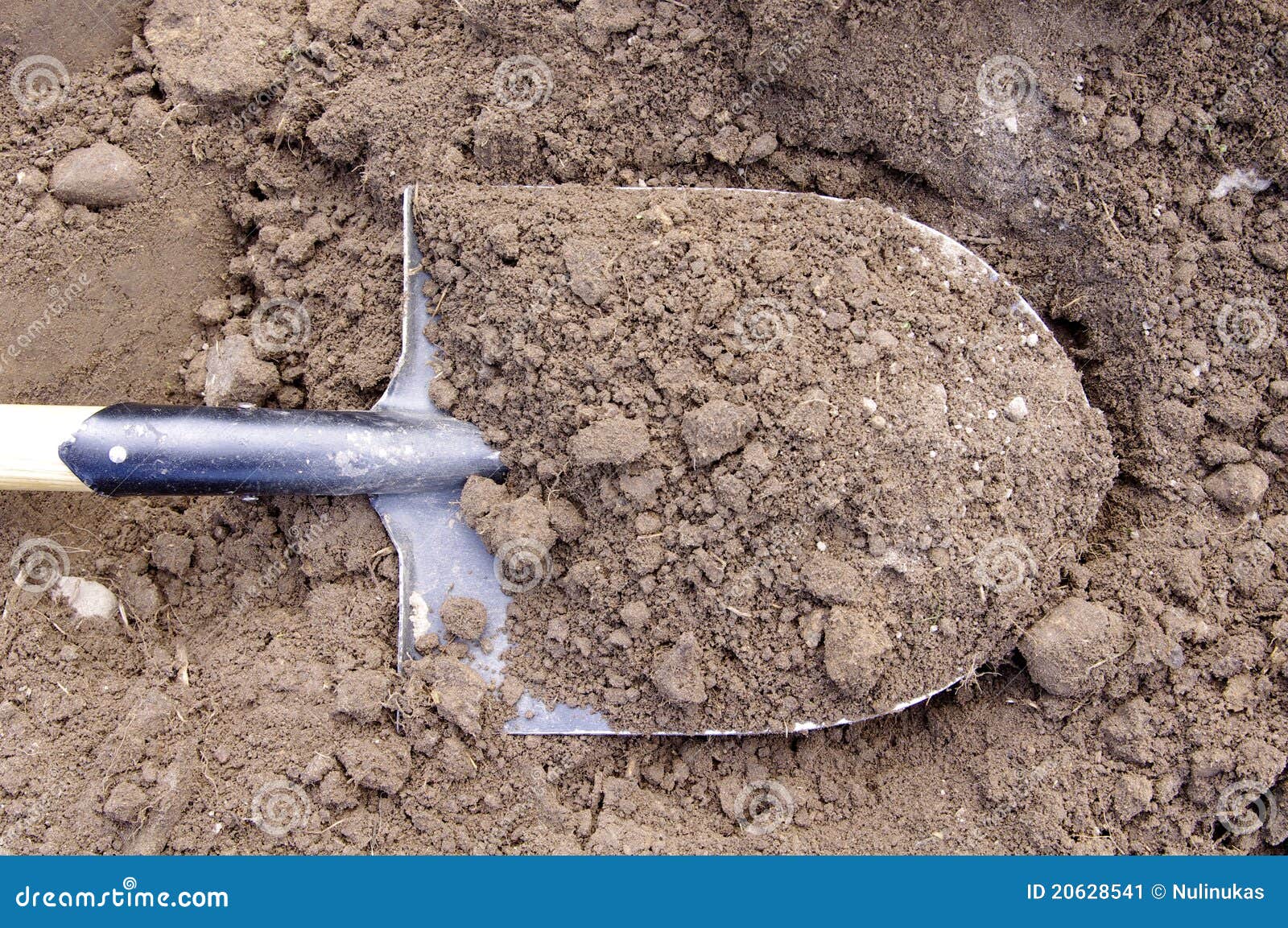 Shovel in the ground stock image. Image of toil, tool - 20628541
