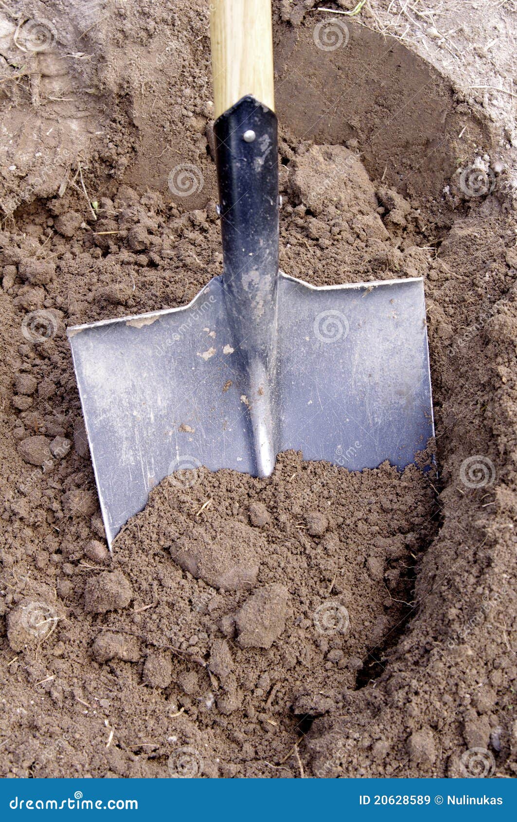 Shovel in the ground stock image. Image of toil, dirt - 20628589