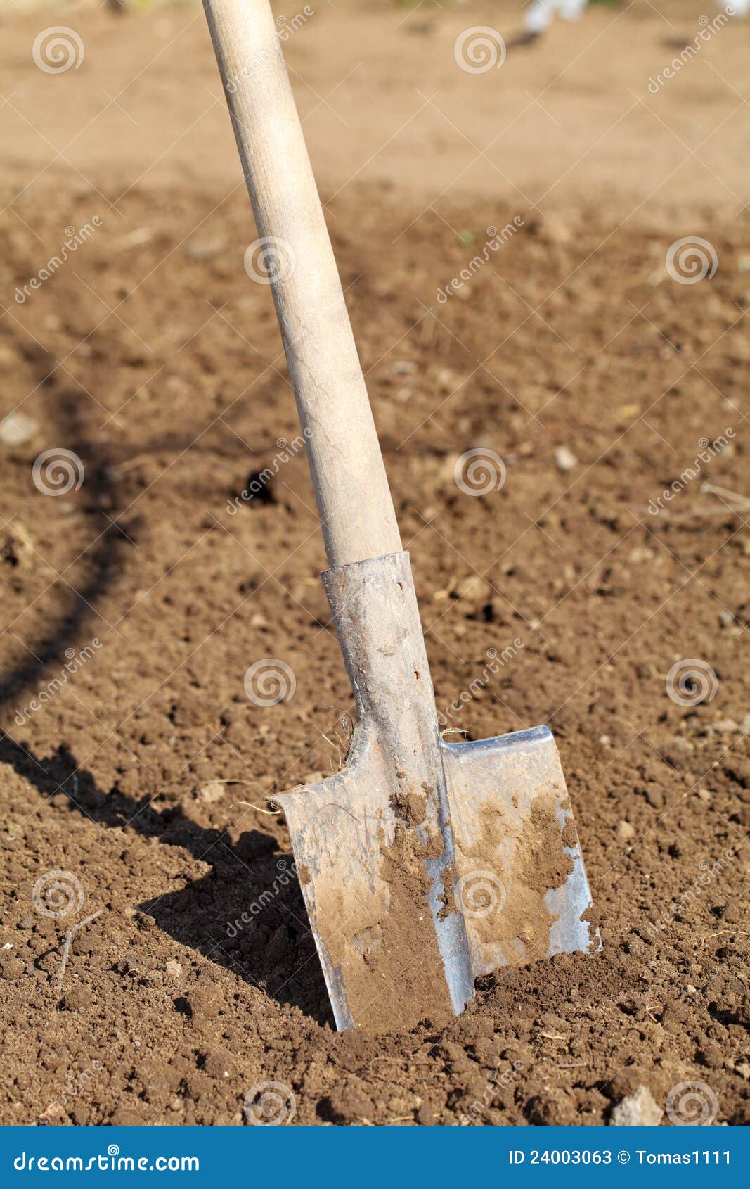 Shovel in the Ground stock image. Image of macro, detail - 24003063