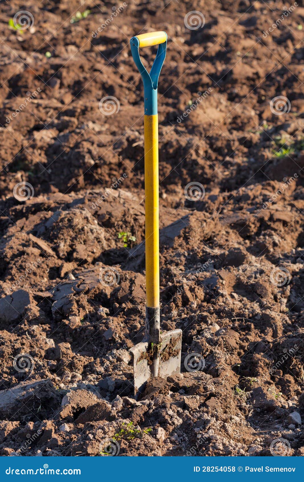 Shovel in the ground stock photo. Image of garden, organic - 28254058