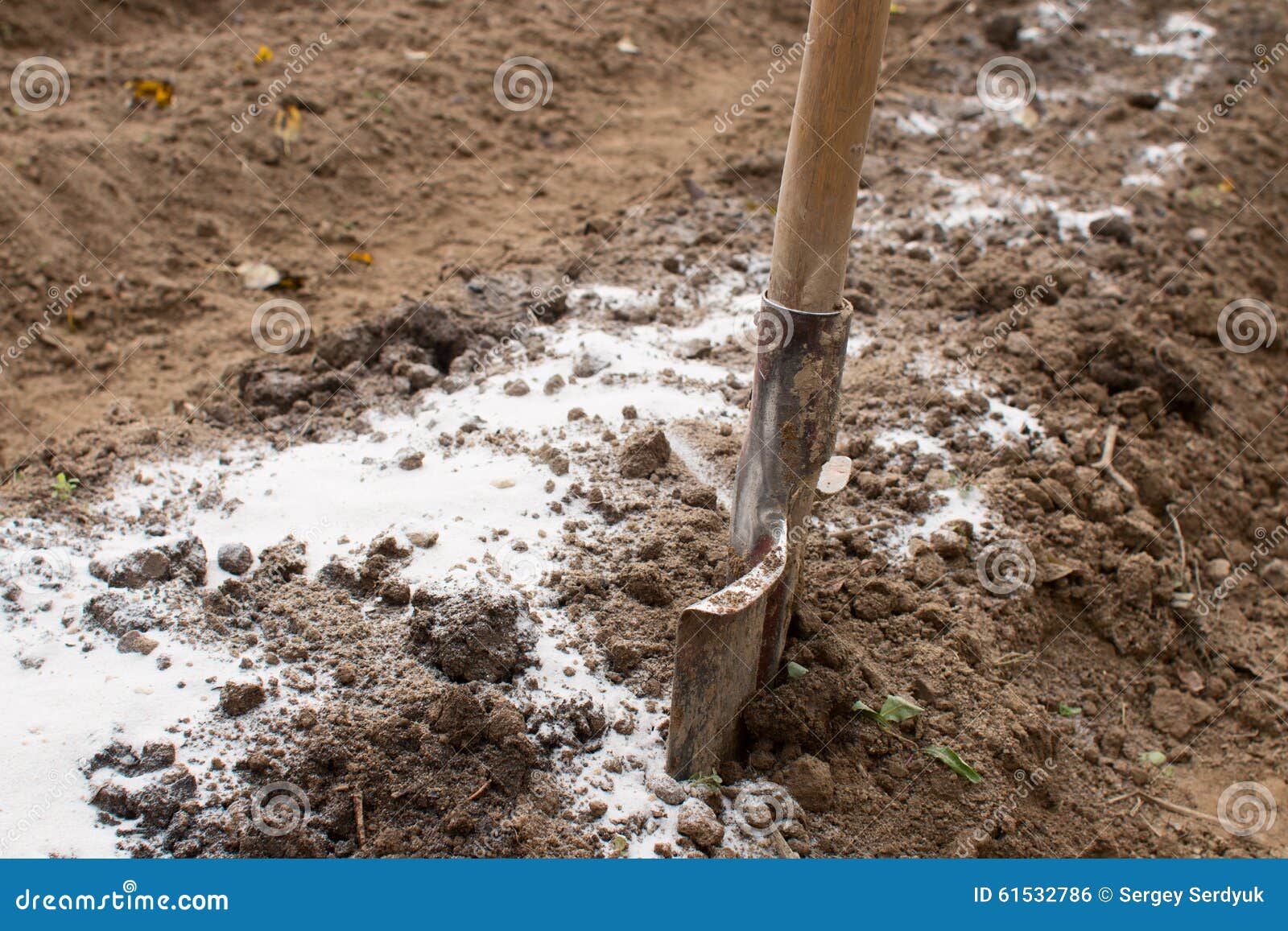 Shovel in the ground stock photo. Image of preparation - 61532786