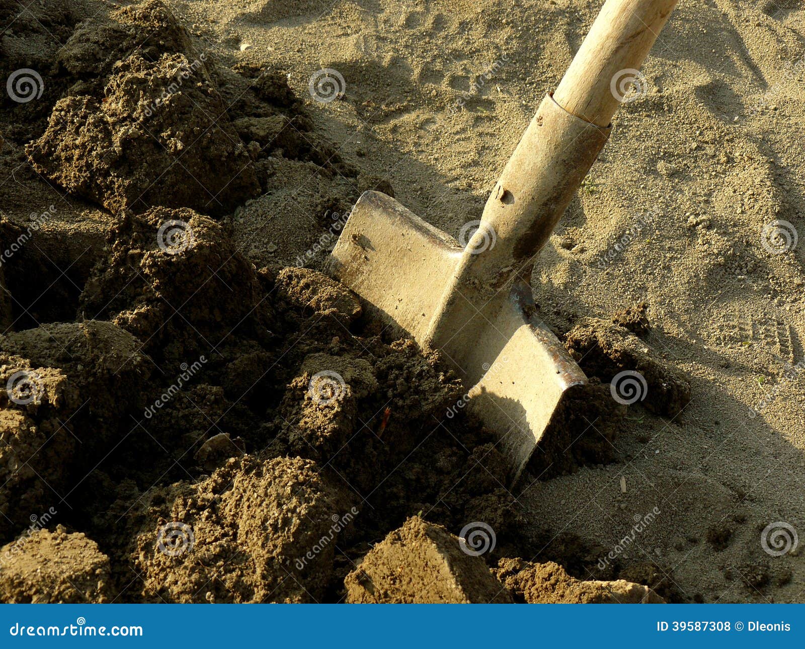 Shovel in the ground stock photo. Image of crop, plant - 39587308