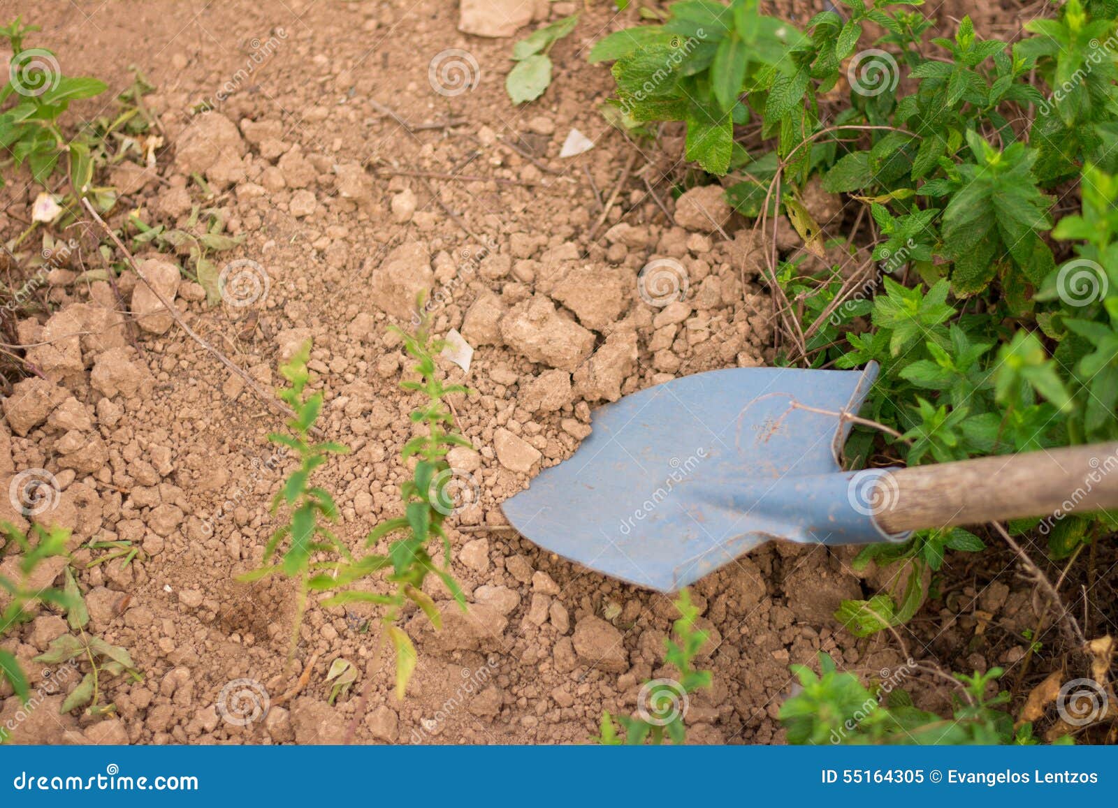 Shovel on the ground stock image. Image of stucco, foreground - 55164305