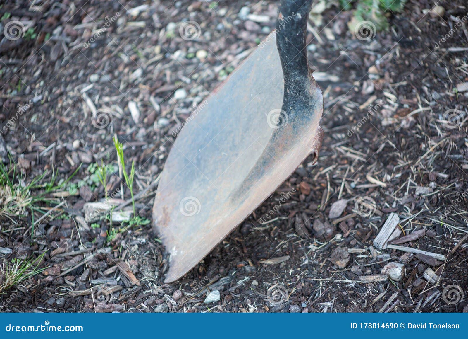 Shovel and ground stock photo. Image of store, product - 178014690