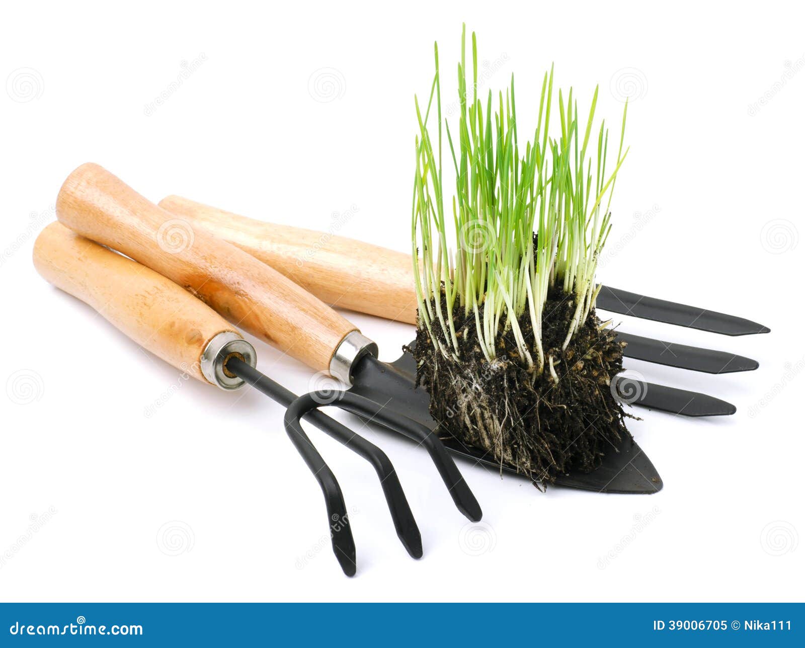 Shovel, Rake, Garden Tools with Green Root Grass Stock Image - Image of ...