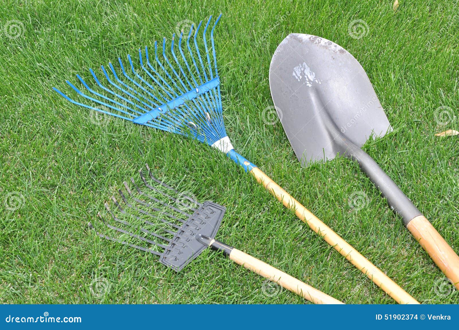 Shovel stock photo. Image of lawn, cleaning, meadow, field - 51902374