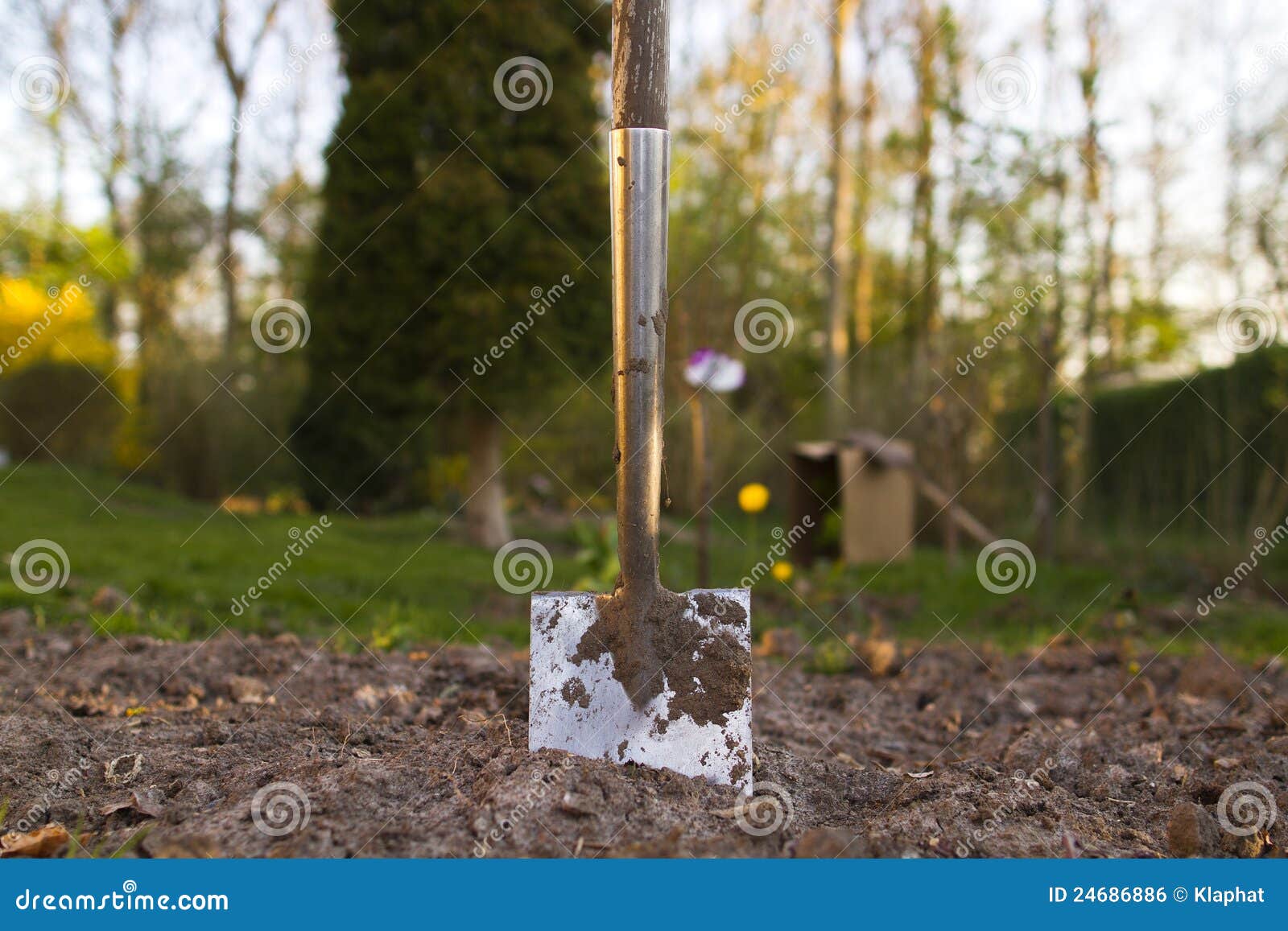 Shovel in soil stock photo. Image of agriculture, garden - 24686886