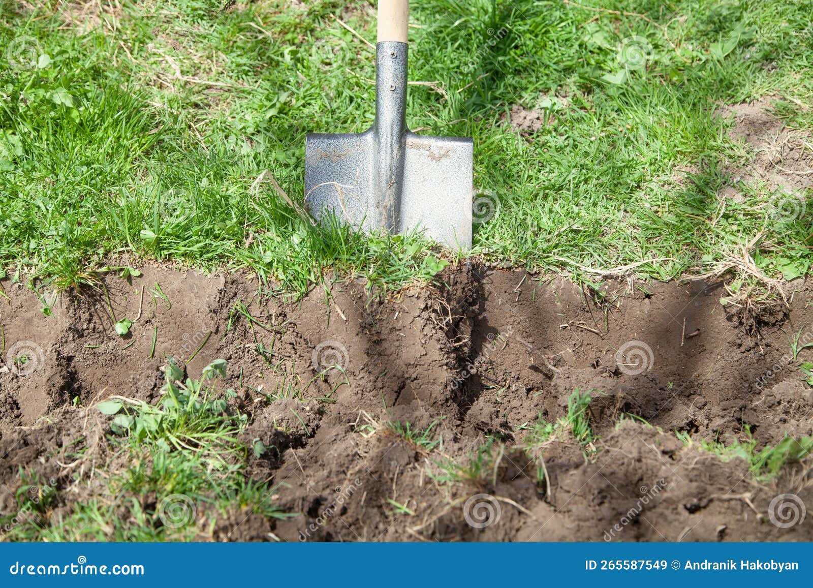 Shovel in Soil in the Garden Stock Image - Image of organic, gardening ...