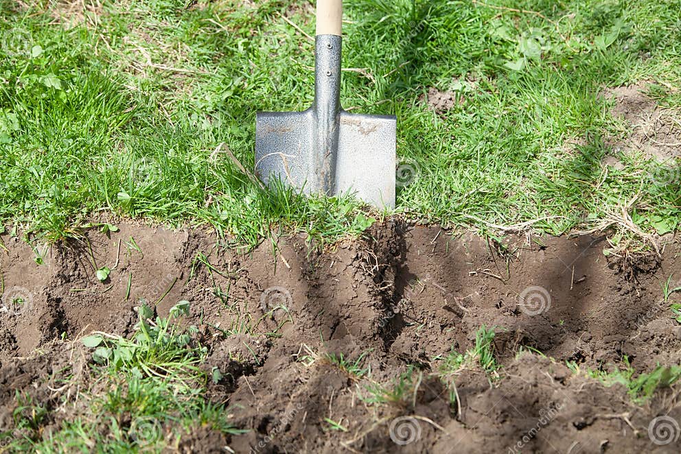 Shovel in Soil in the Garden Stock Image - Image of organic, gardening ...