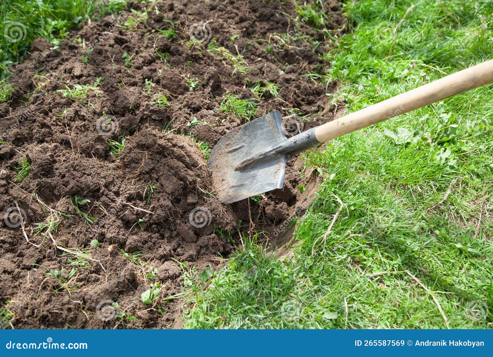 Shovel in Soil in the Garden Stock Image - Image of cultivate, shovel ...