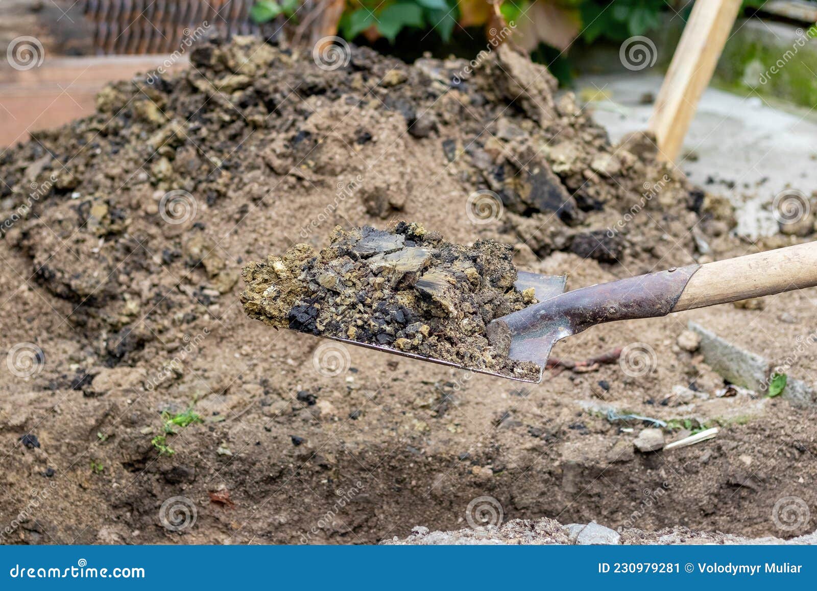 Shovel with Soil in the Hands of a Builder while Digging a Ditch Stock ...