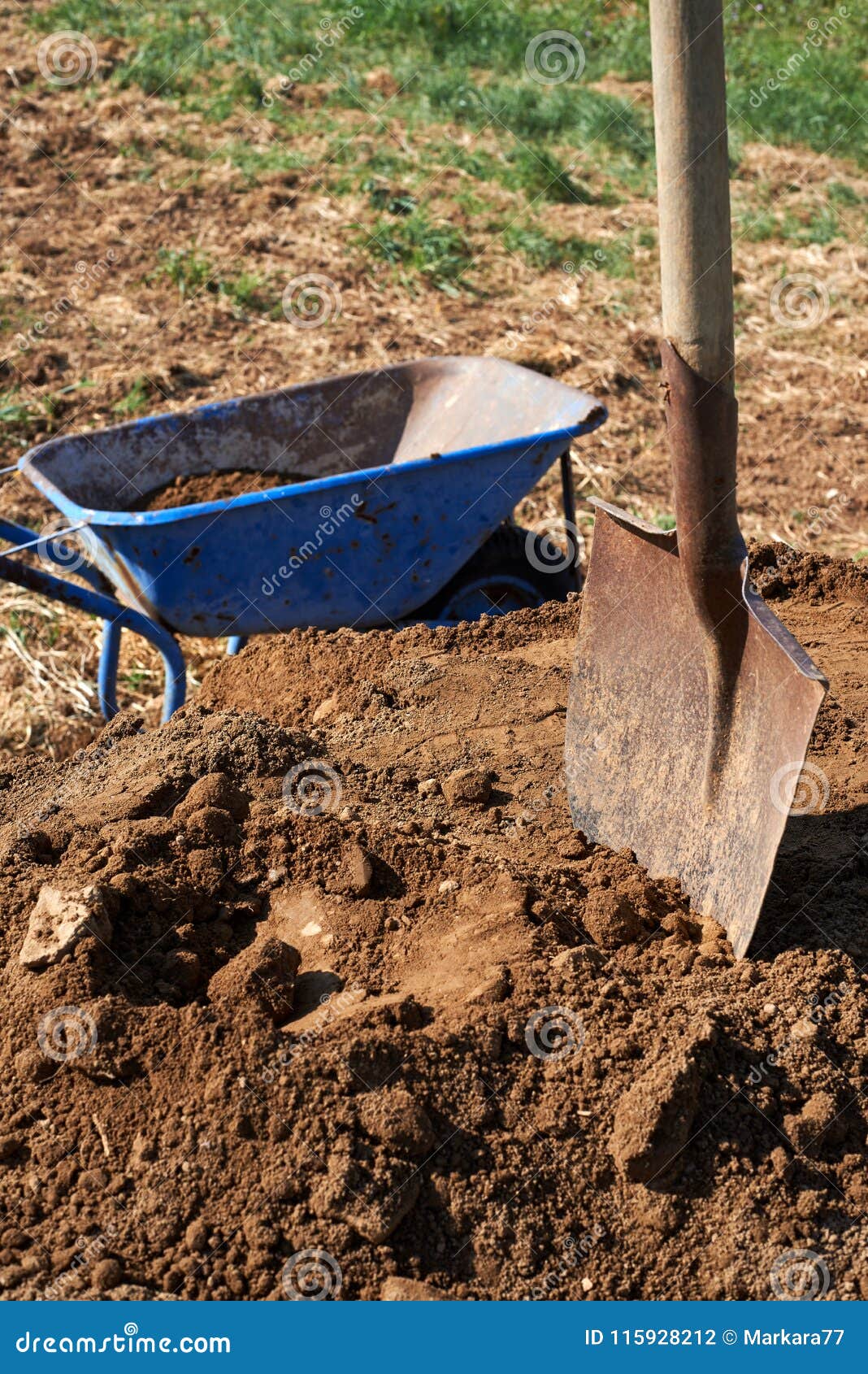 Shovel on Soil and Trolley.Gardening Stock Photo - Image of shovel ...
