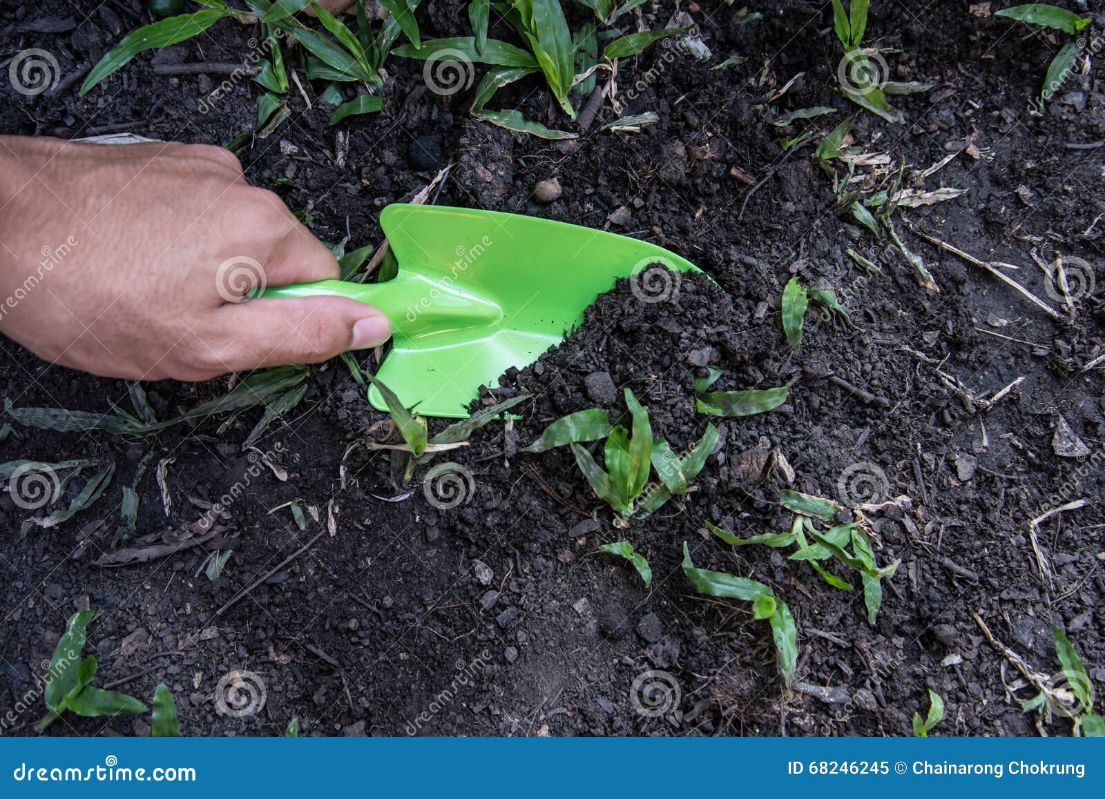 Shovel spoons digging soil stock image. Image of growing - 68246245