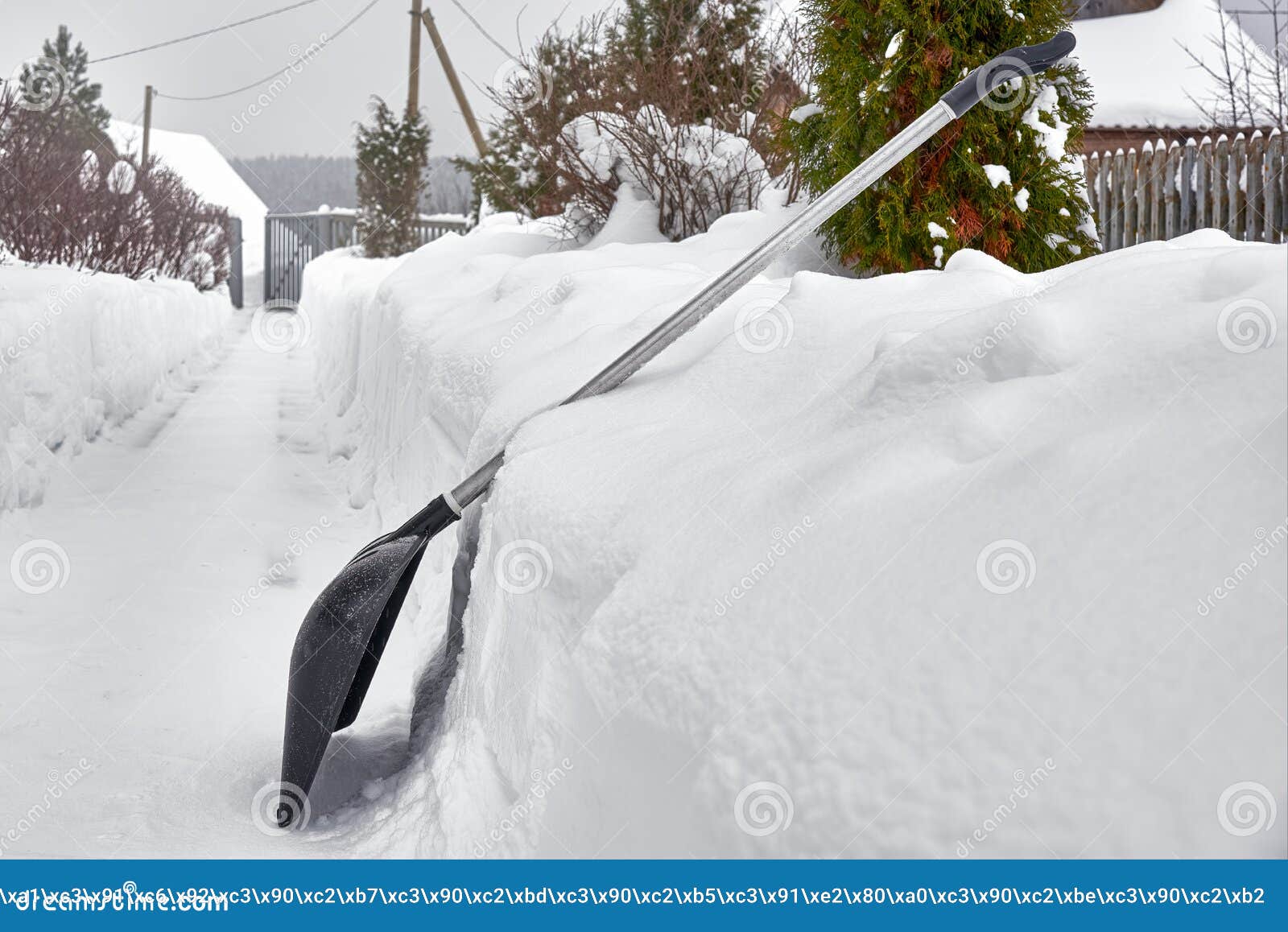 The Shovel Stands on a Path Cleared of Snow. Stock Image - Image of ...