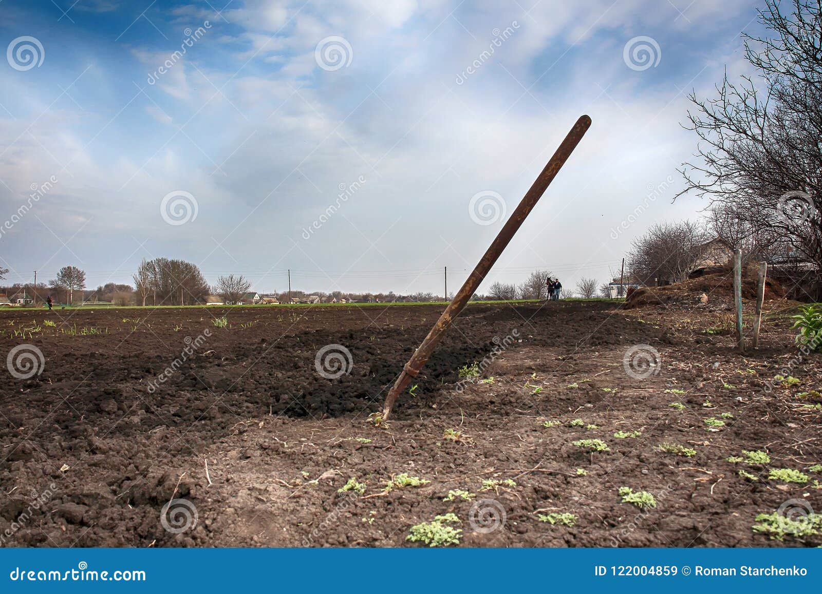 The Shovel Sticks Out from the Ground in the Garden Stock Image - Image ...