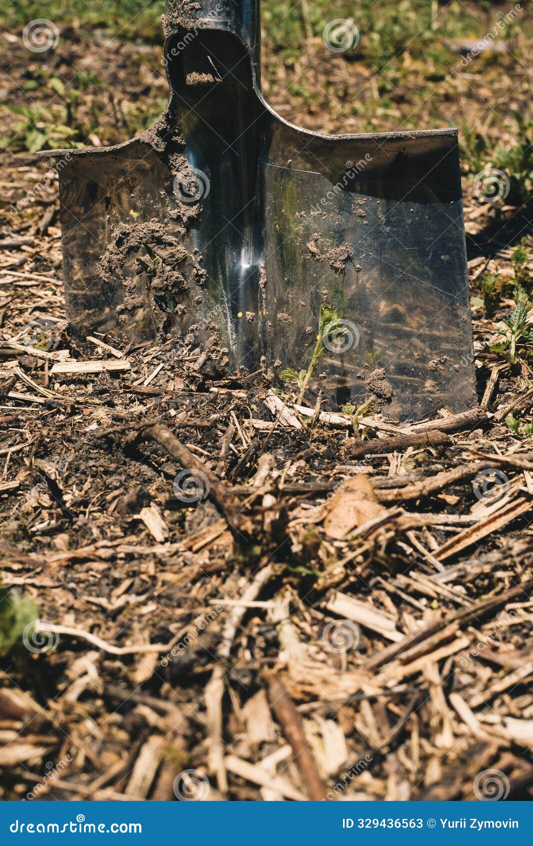 Shovel Stuck In The Ground On The Garden Bed. Gardening Tools. Royalty ...