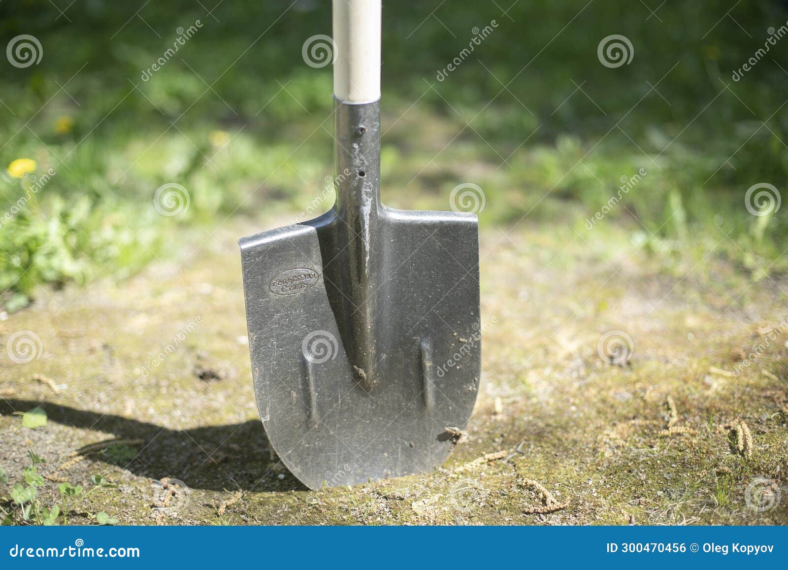 Shovel is Stuck in Ground. Garden Tool Stock Photo - Image of plant ...
