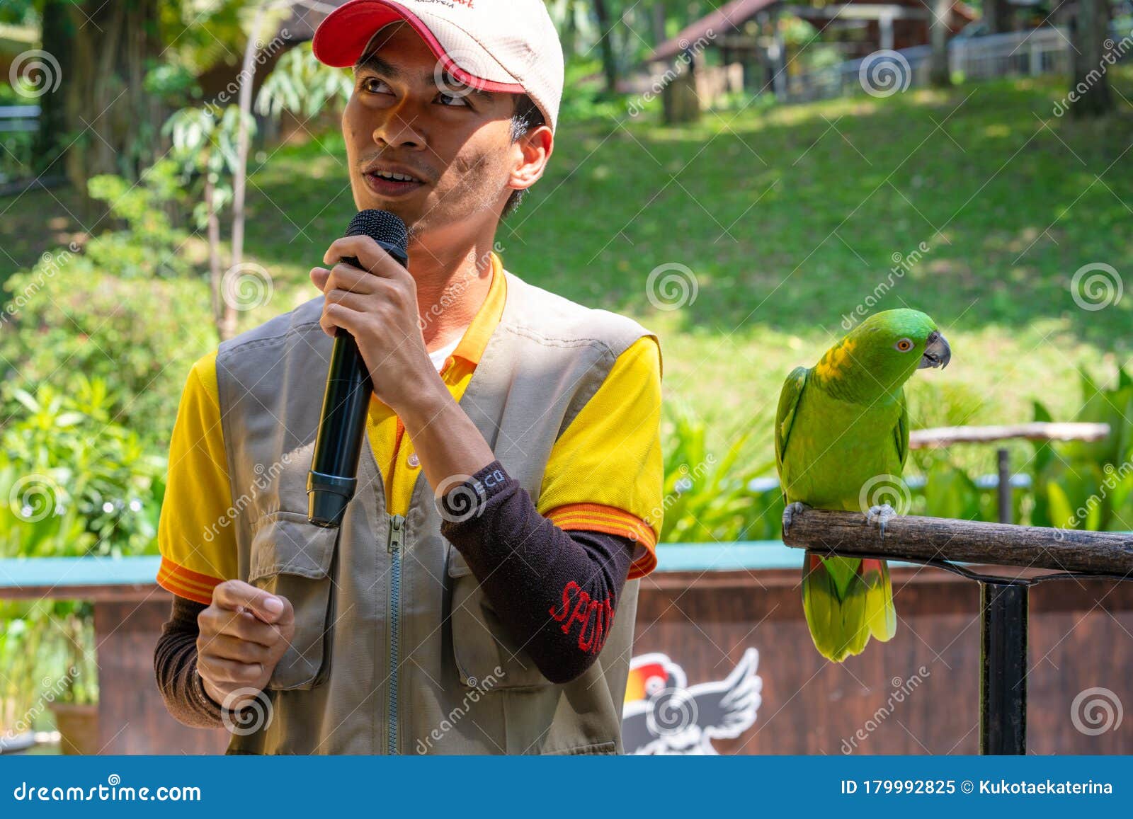 A Show with Birds in a Bird Park. a Trainer with Parrots Editorial ...