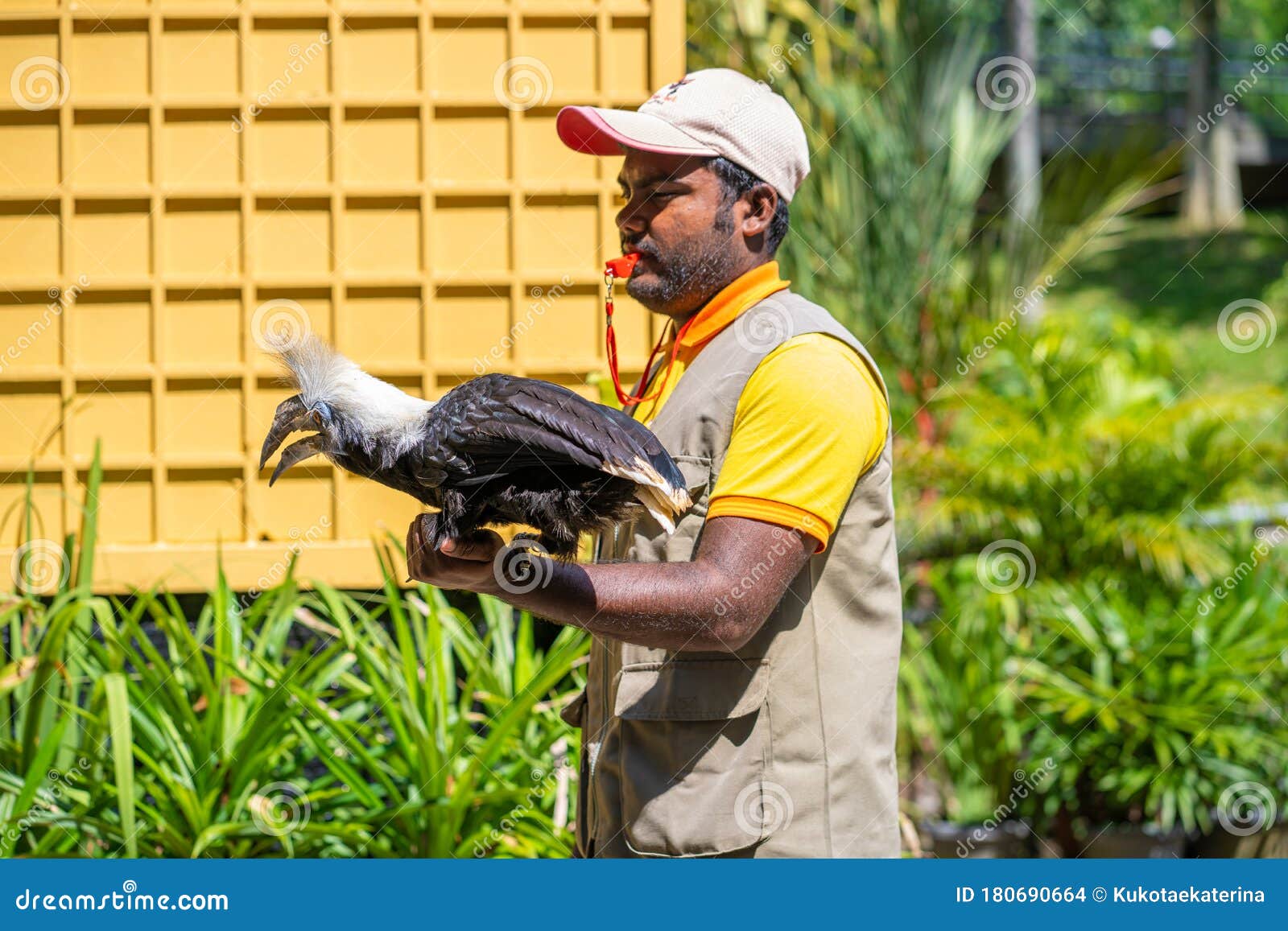 A Show with Birds in a Bird Park. a Trainer with Parrots Editorial ...