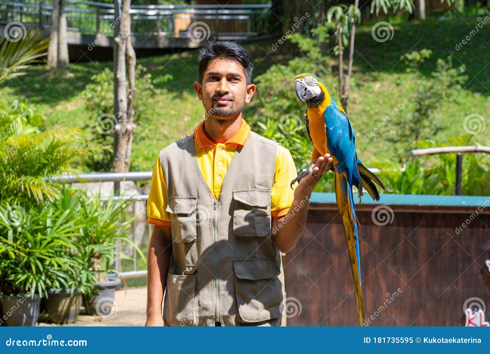 A Show with Birds in a Bird Park. a Trainer with Parrots Editorial ...