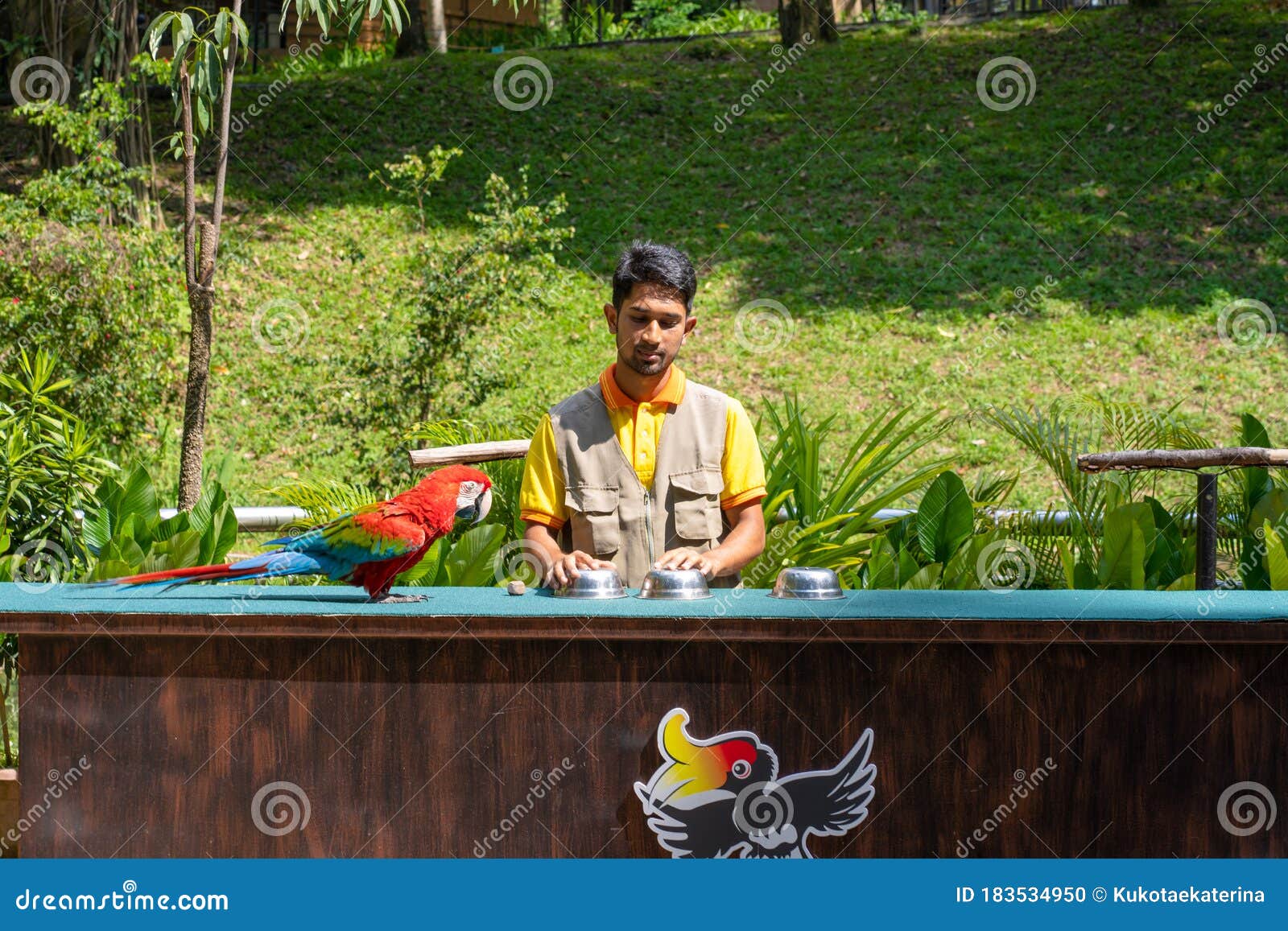 A Show with Birds in a Bird Park. a Trainer with Parrots Editorial ...