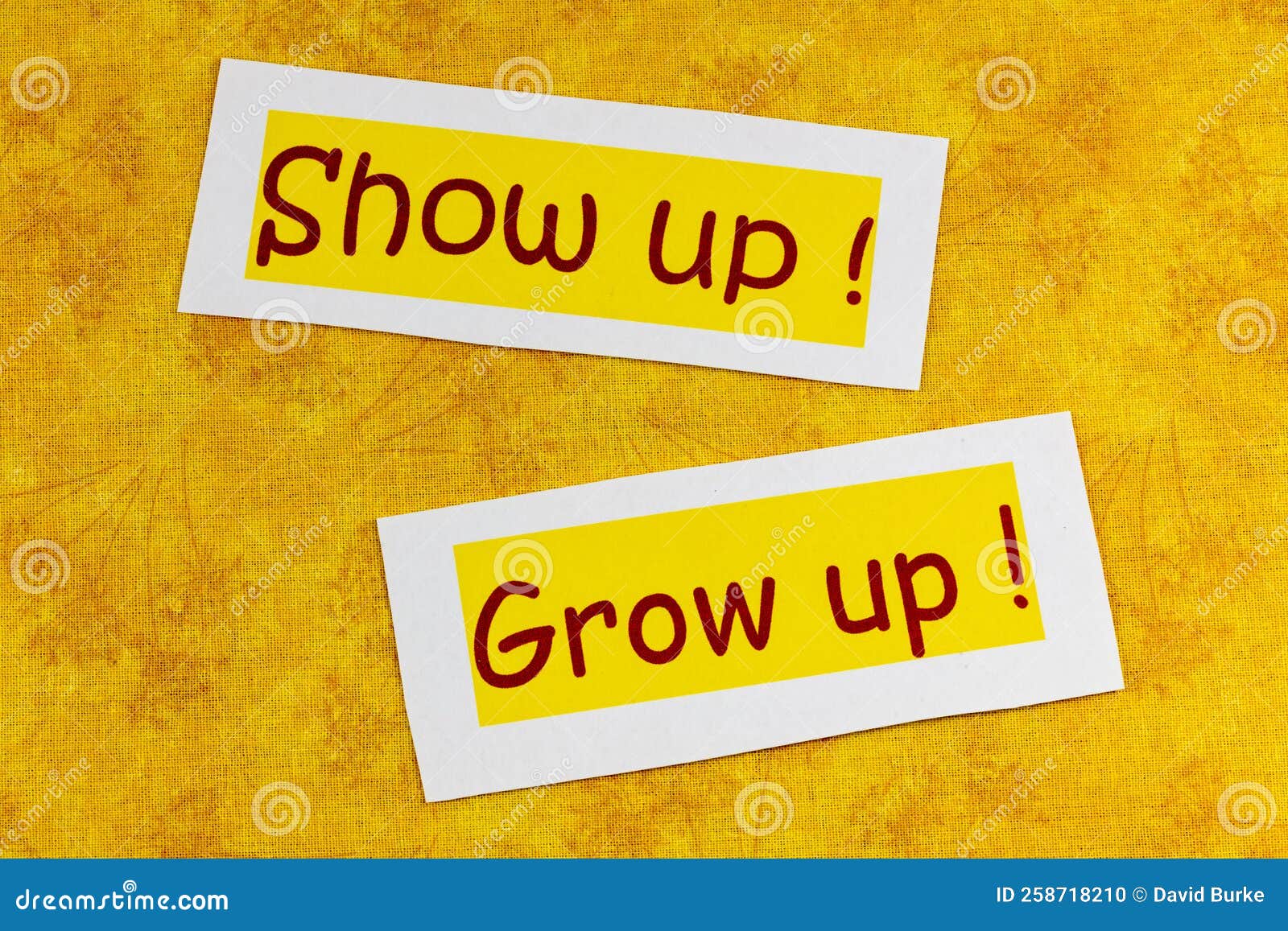 Maturity Growth Progress Achievement Mature Reliable Development ...