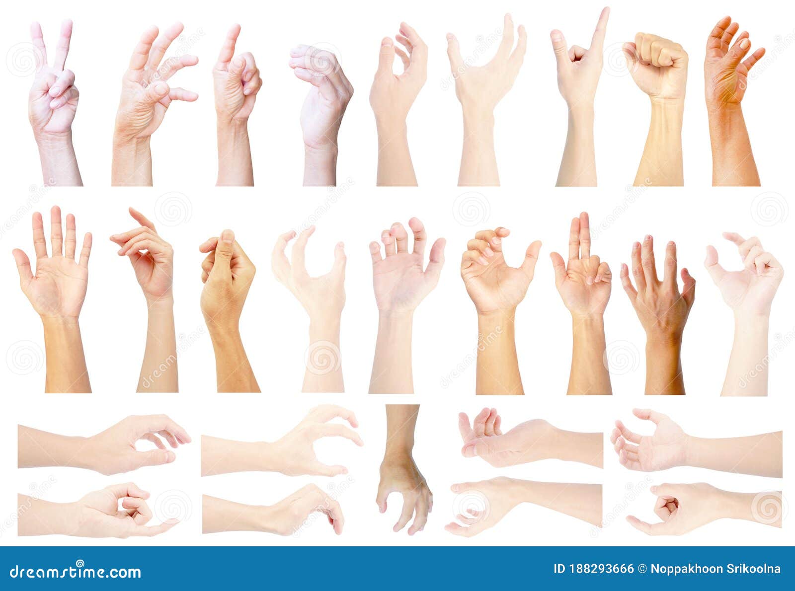 Multiple Collection Hands In Symbol Gestures Of Man`s Hand On Isolated ...