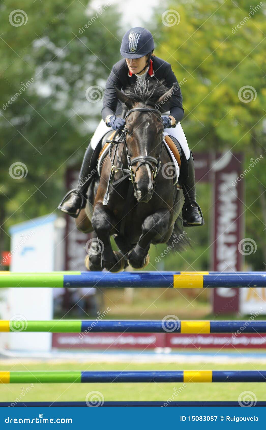 Show jumping editorial photography. Image of beautiful - 15083087