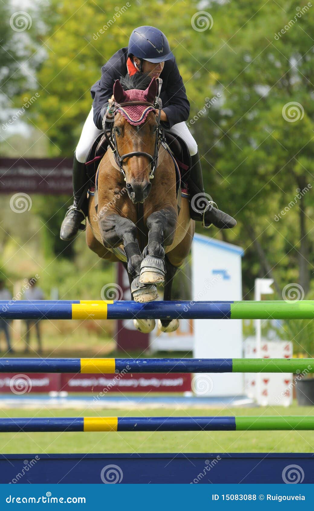 Show jumping editorial stock photo. Image of motion, active - 15083088