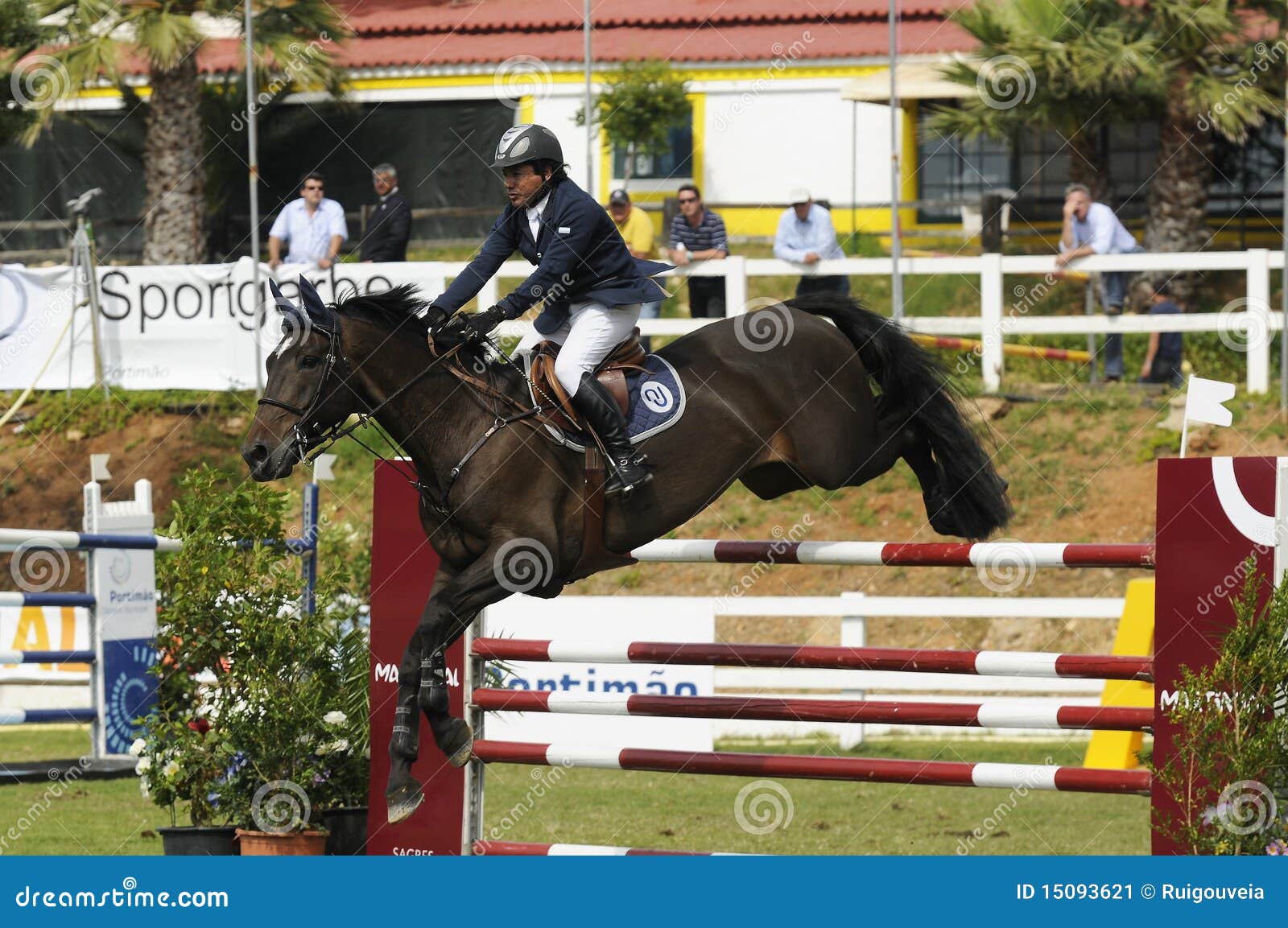 Show jumping editorial photo. Image of mare, horseman - 15093621