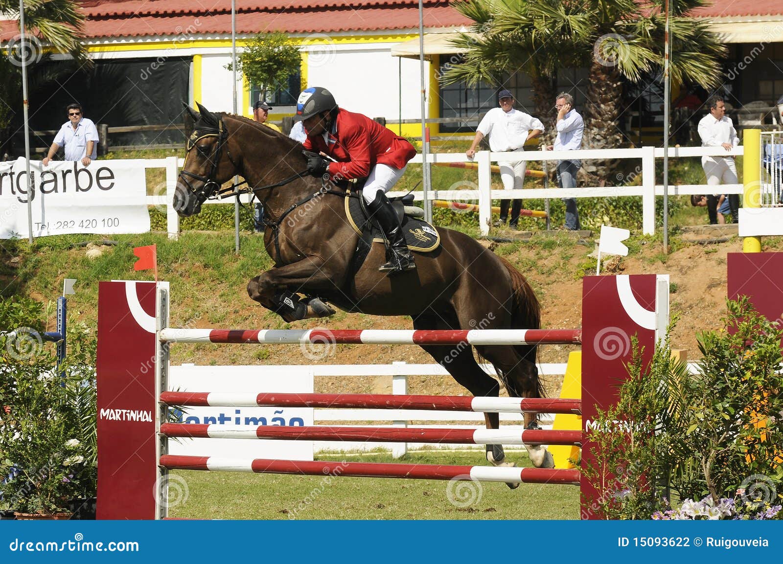 Show jumping editorial photography. Image of algarve - 15093622