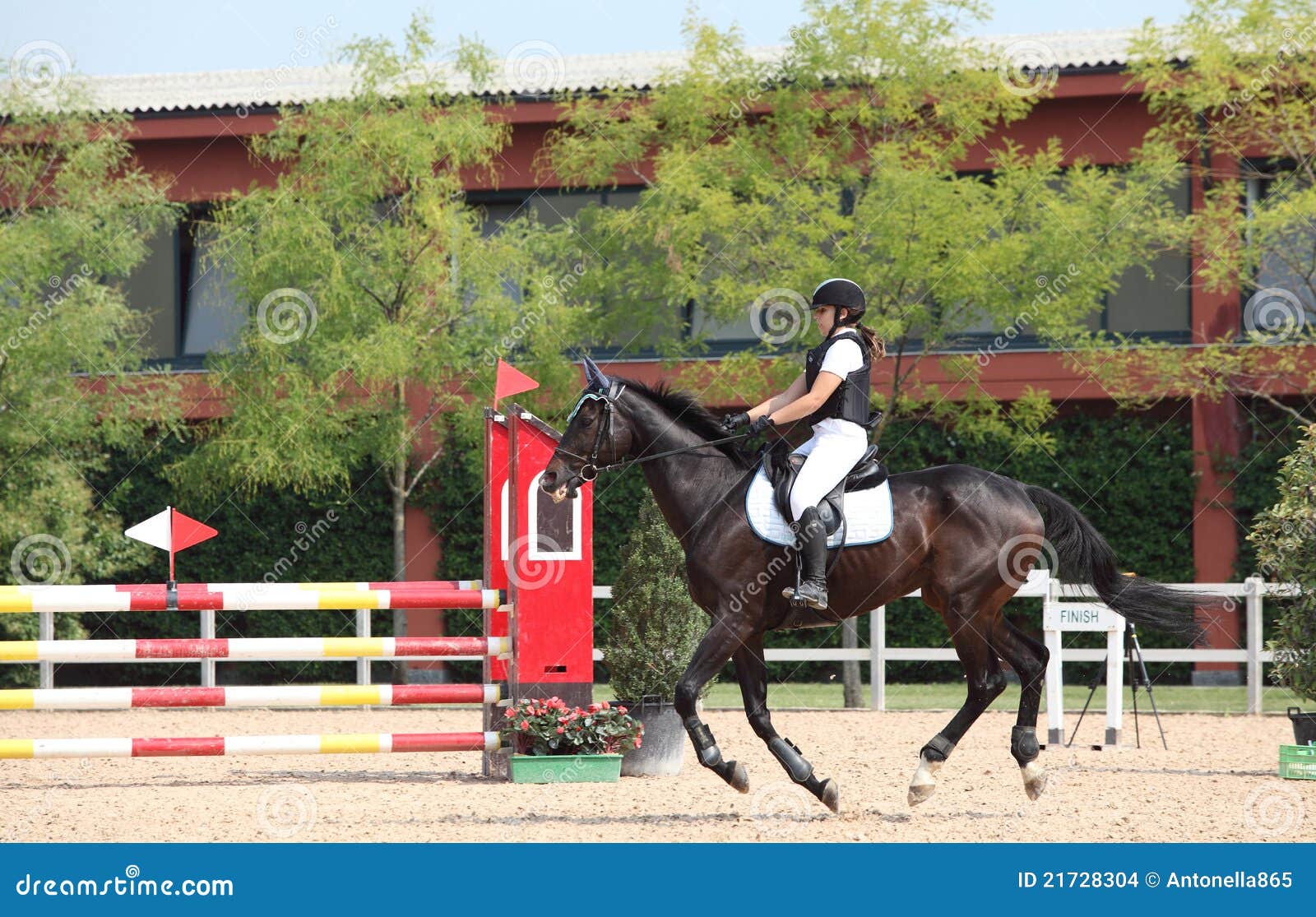 Show jumping editorial stock image. Image of competition - 21728304