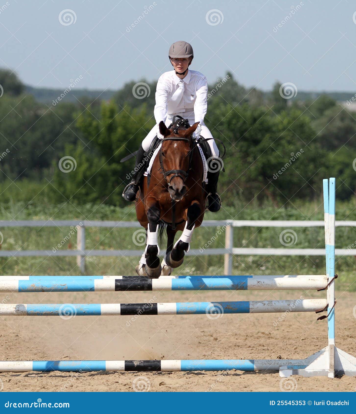 Show jumping editorial stock photo. Image of jumping - 25545353