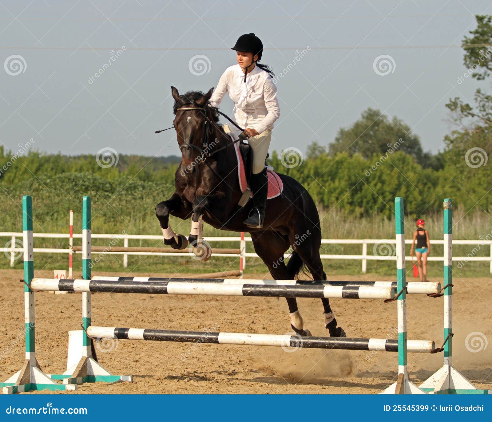Show jumping editorial stock image. Image of competition - 25545399