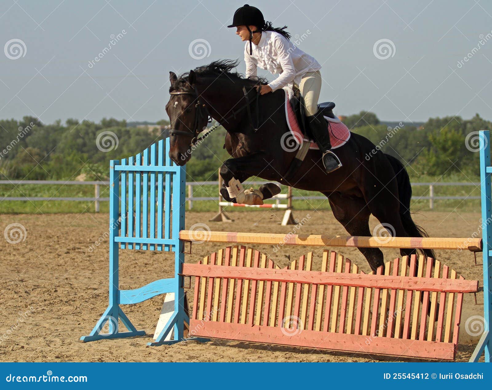Show jumping editorial photography. Image of motion, mare - 25545412